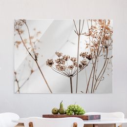 Bilderwelten Glasbild Blumen Motiv braun Glas Wandbild - Trockenblume im Lichtspiel - Deko Wohnzimmer Schlafzimmer