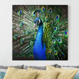 Bilderwelten Leinwandbild Tiere Motiv Kunstdruck blau - Edler Pfau - V&ouml;gel XXL Wohnzimmer Schlafzimmer