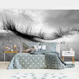 Bilderwelten Fototapete Strand Motiv Wandtapete schwarz weiss - Sandd&uuml;ne Schwarz-Wei&szlig; - D&uuml;nen Wohnzimmer Schlafzimmer