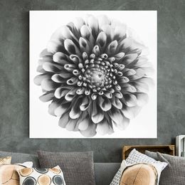 Bilderwelten Leinwandbild - Quadrat Aster II