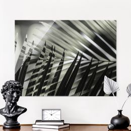 Bilderwelten Glasbild Schattenspiel auf Palmenwedel