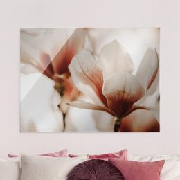 Bilderwelten Glasbild Blumen Motiv rosa Glas Wandbild - Zarte Magnolienbl&uuml;ten im Lichtspiel - Deko Wohnzimmer Schlafzimmer