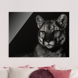Bilderwelten Glasbild Tiere modern schwarz Glas Wandbild - Puma vor Schwarz - Deko Wohnzimmer Schlafzimmer