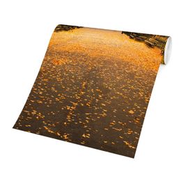 Bilderwelten Fototapete Stadt Motiv Wandtapete orange - Herbst im Central Park - Amerika Wohnzimmer Schlafzimmer