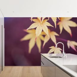 Bilderwelten Fototapete Stadt Motiv Wandtapete violett - Herbstlicher Ahorn - Japan Wohnzimmer Schlafzimmer