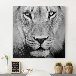 Bilderwelten Leinwandbild Tiere Motiv Kunstdruck schwarz weiss - Alter L&ouml;we - L&ouml;we XXL Wohnzimmer Schlafzimmer