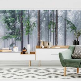 Bilderwelten Fototapete Wald Motiv Wandtapete gr&uuml;n - Nadelb&auml;ume im Winter - B&auml;ume Wohnzimmer Schlafzimmer