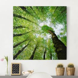 Bilderwelten Leinwandbild Wald Motiv Kunstdruck gr&uuml;n - B&auml;ume des Lebens - Himmel XXL Wohnzimmer Schlafzimmer