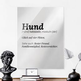 Bilderwelten Glasbild Tiere modern schwarz weiss Glas Wandbild - Die Definition von Hund - Lustig Wohnzimmer Schlafzimmer