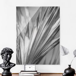 Bilderwelten Glasbild Tropisch silber Glas Wandbild - Palmenbl&auml;tter in Silber II - Deko Wohnzimmer Schlafzimmer
