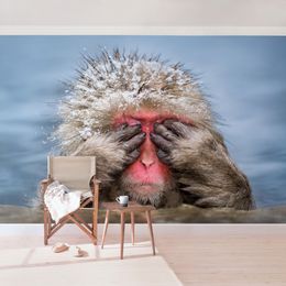 Bilderwelten Fototapete Tiere Motiv Wandtapete braun - Japanischer Schneeaffe - Affe Wohnzimmer Schlafzimmer