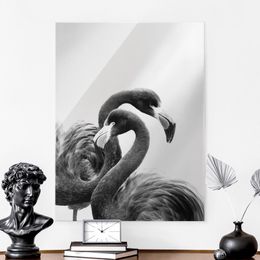 Bilderwelten Glasbild Tiere Tropisch schwarz weiss Glas Wandbild - Zwei Flamingos II - V&ouml;gel Wohnzimmer Schlafzimmer