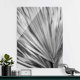 Bilderwelten Glasbild Tropisch silber Glas Wandbild - Palmenbl&auml;tter in Silber - Deko Wohnzimmer Schlafzimmer
