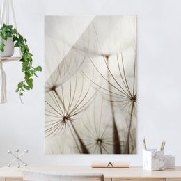 Bilderwelten Glasbild Blumen Vintage weiss Glas Wandbild - Sanfte Gr&auml;ser - Gr&auml;ser Wohnzimmer Schlafzimmer