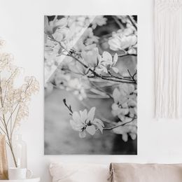 Bilderwelten Glasbild Blumen Vintage schwarz weiss Glas Wandbild - Magnolienzweige Vintagestil II - Retro Wohnzimmer Schlafzimmer