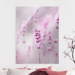 Bilderwelten Glasbild Blumen Landhaus violett Glas Wandbild - Zartvioletter Lavendel - Gr&auml;ser Wohnzimmer Schlafzimmer