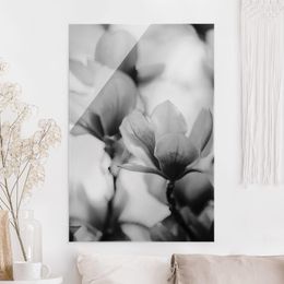 Bilderwelten Glasbild Blumen Motiv schwarz weiss Glas Wandbild - Zarte Magnolienbl&uuml;ten II - Deko Wohnzimmer Schlafzimmer