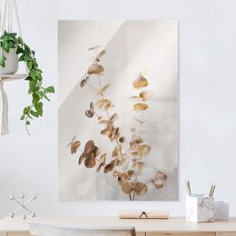 Bilderwelten Glasbild Tropisch gold Glas Wandbild - Goldene Eukalyptuszweige mit Wei&szlig; - Deko Wohnzimmer Schlafzimmer