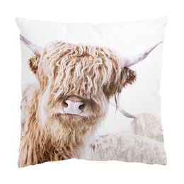 Bilderwelten Dekokissen Kissenbezug beige Tiere Motiv - Hochlandrind Karlo - Bett Couch Sofakissen Bezug & F&uuml;llung in 40x40 50x50 60x60
