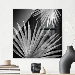 Bilderwelten Glasbild Natur Tropisch schwarz Glas Wandbild - Silber - Palmenblatt auf Schwarz - Palme Wohnzimmer Schlafzimmer