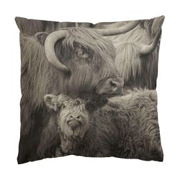 Bilderwelten Dekokissen braun Tiere modern - Hochlandrind Familie - Bett Couch Sofakissen Bezug & F&uuml;llung in 40x40 50x50 60x60