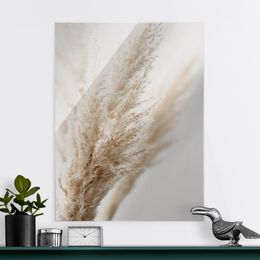 Bilderwelten Glasbild Blumen Landhaus beige Glas Wandbild - Makroaufnahme Pampasgras - Gr&auml;ser Wohnzimmer Schlafzimmer
