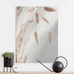 Bilderwelten Glasbild Blumen Landhaus beige Glas Wandbild - Zartes Glanzgras - Gr&auml;ser Wohnzimmer Schlafzimmer