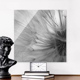 Bilderwelten Glasbild Tropisch schwarz weiss Glas Wandbild - Weiche Pusteblume II - Gr&auml;ser Wohnzimmer Schlafzimmer