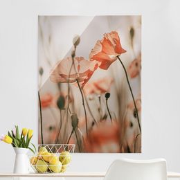 Bilderwelten Glasbild Blumen Motiv rot Glas Wandbild - Mohnbl&uuml;ten im Sommerwind - Mohn Wohnzimmer Schlafzimmer