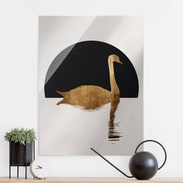 Bilderwelten Glasbild Natur modern gold Glas Wandbild - Schwan in Gold - Sonnenuntergang Wohnzimmer Schlafzimmer