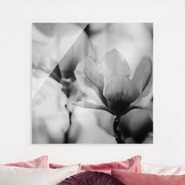 Bilderwelten Glasbild Blumen Motiv schwarz weiss Glas Wandbild - Zarte Magnolienbl&uuml;ten II - Deko Wohnzimmer Schlafzimmer