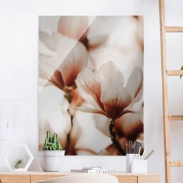 Bilderwelten Glasbild Blumen Motiv rosa Glas Wandbild - Zarte Magnolienbl&uuml;ten im Lichtspiel - Deko Wohnzimmer Schlafzimmer