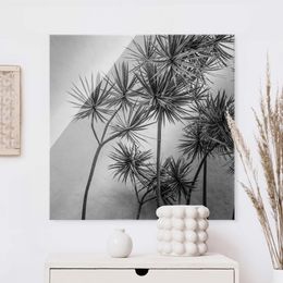 Bilderwelten Glasbild Natur Tropisch silber Glas Wandbild - Sonnengek&uuml;sste Palmen II - Palme Wohnzimmer Schlafzimmer