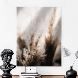 Bilderwelten Glasbild Blumen Landhaus braun Glas Wandbild - Pampasgras im Schatten - Gr&auml;ser Wohnzimmer Schlafzimmer