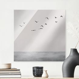 Bilderwelten Glasbild Tiere Illustration schwarz weiss Aquarell - Vogelzug in den S&uuml;den - V&ouml;gel Wohnzimmer Schlafzimmer