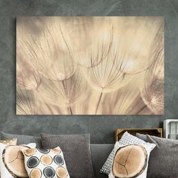 Bilderwelten Leinwandbild - Querformat Pusteblumen Nahaufnahme in wohnlicher Sepia T&ouml;nung