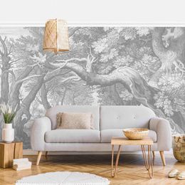 Bilderwelten Fototapete Wald Vintage Wandtapete grau - Wald Kupferstich - Pflanzen Wohnzimmer Schlafzimmer