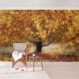 Bilderwelten Fototapete Wald modern Wandtapete orange - Vertr&auml;umter Baum im Herbst - B&auml;ume Wohnzimmer Schlafzimmer