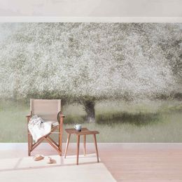Bilderwelten Fototapete Wald modern Wandtapete gr&uuml;n - Vertr&auml;umter Baum im Garten - B&auml;ume Wohnzimmer Schlafzimmer