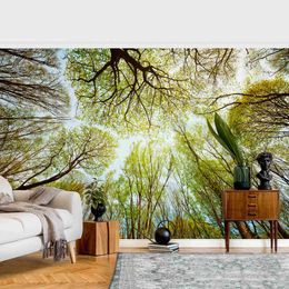 Bilderwelten Fototapete Wald Motiv Wandtapete gr&uuml;n - Blick in Baumkronen - B&auml;ume Wohnzimmer Schlafzimmer