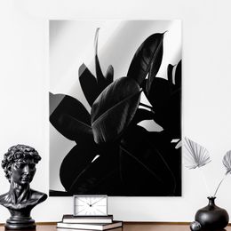 Bilderwelten Glasbild Tropisch schwarz weiss Glas Wandbild - Gummibaum Bl&auml;tter Schwarz Wei&szlig; - Deko Wohnzimmer Schlafzimmer