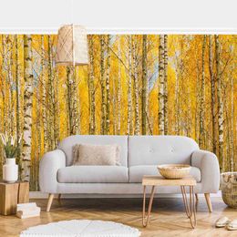 Bilderwelten Fototapete Wald modern Wandtapete gelb - Zwischen gelben Birken - B&auml;ume Wohnzimmer Schlafzimmer