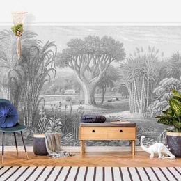 Bilderwelten Fototapete Wald Vintage Wandtapete grau - Tropischer Kupferstich Garten mit Teich in Grau - Pflanzen Wohnzimmer Schlafzimmer