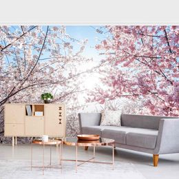 Bilderwelten Fototapete Blumen Motiv Wandtapete rosa - Zwischen Kirschbl&uuml;tenzweigen - Kirschbl&uuml;te Wohnzimmer Schlafzimmer