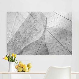 Bilderwelten Glasbild Motiv silber Glas Wandbild - Filigrane Blattstruktur in Silber - Deko Wohnzimmer Schlafzimmer