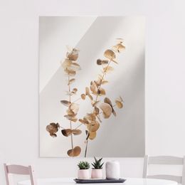 Bilderwelten Glasbild Tropisch gold Glas Wandbild - Goldene Eukalyptuszweige - Deko Wohnzimmer Schlafzimmer