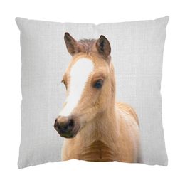 Bilderwelten Dekokissen Kissenbezug schwarz weiss Tiere Motiv - Baby Pferd Philipp - Pferde Sofakissen Bezug & F&uuml;llung in 40x40 50x50 60x60