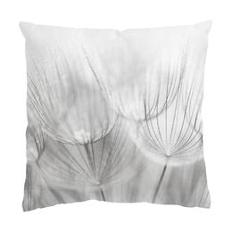 Bilderwelten Dekokissen Kissenbezug schwarz weiss Blumen Motiv - Pusteblumen - Pusteblume Sofakissen Bezug & F&uuml;llung in 40x40 50x50 60x60