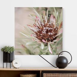Bilderwelten Leinwandbild Tropisch Kunstdruck gr&uuml;n - Trockenblume in Rosa und Gr&uuml;n - Wandbild XXL Wohnzimmer Schlafzimmer