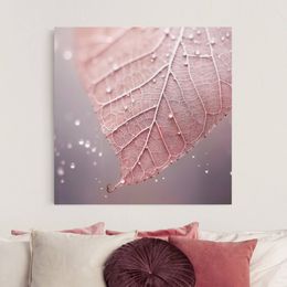 Bilderwelten Leinwandbild Rosa Blatt Close-Up